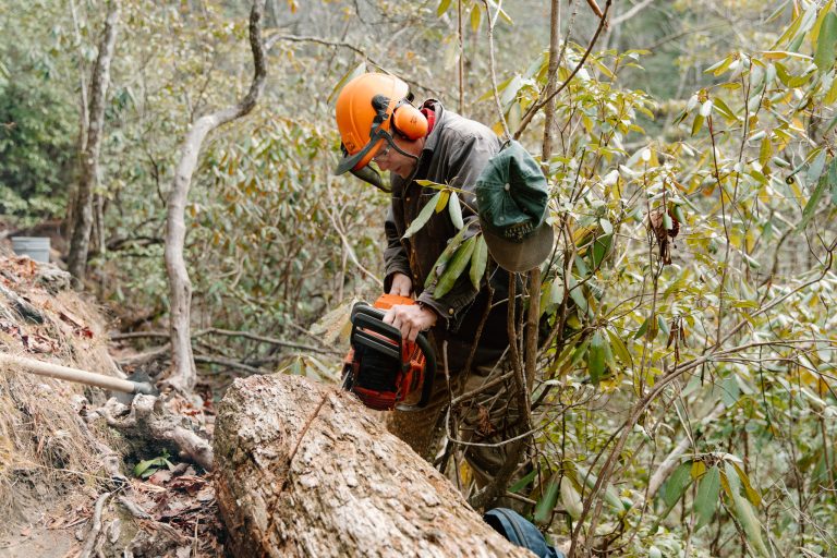 Full-time Staff - The Wilds of North Carolina